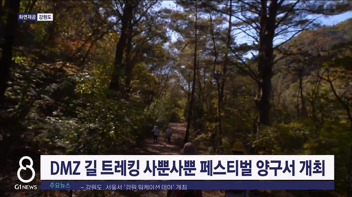 DMZ 길 트레킹 사뿐사뿐 페스티벌 양구서 개최